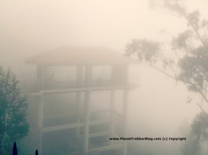 Places to visit in Kodaikanal – Coaker’s Walk – Planet-Trekker-Blog