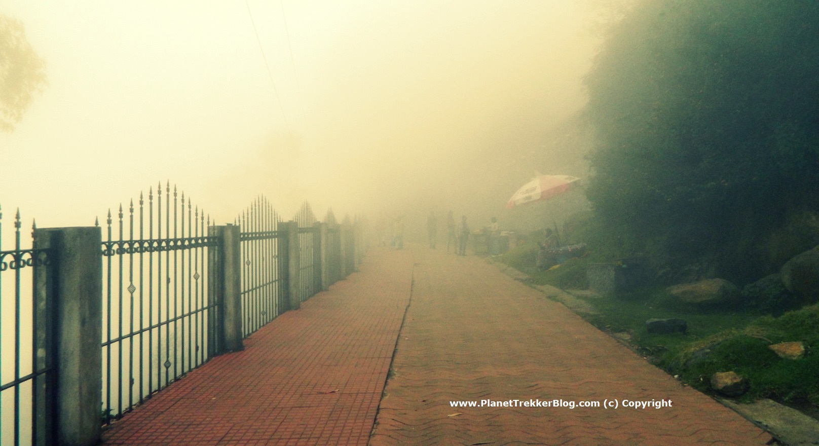 Places to visit in Kodaikanal – Coaker’s Walk – Planet-Trekker-Blog