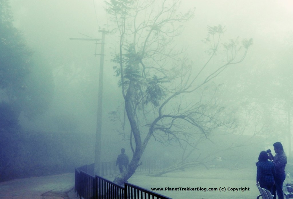 Places to visit in Kodaikanal – Coaker’s Walk – Planet-Trekker-Blog