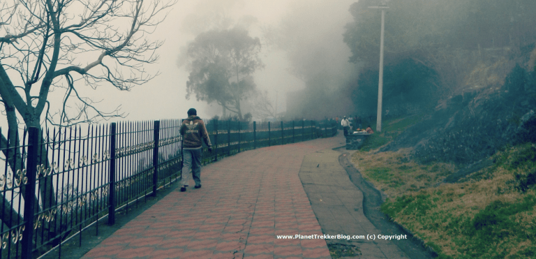 Places to visit in Kodaikanal – Coaker’s Walk – Planet-Trekker-Blog