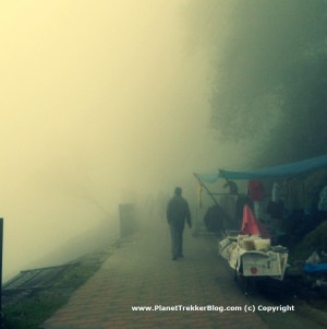 Places to visit in Kodaikanal – Coaker’s Walk – Planet-Trekker-Blog