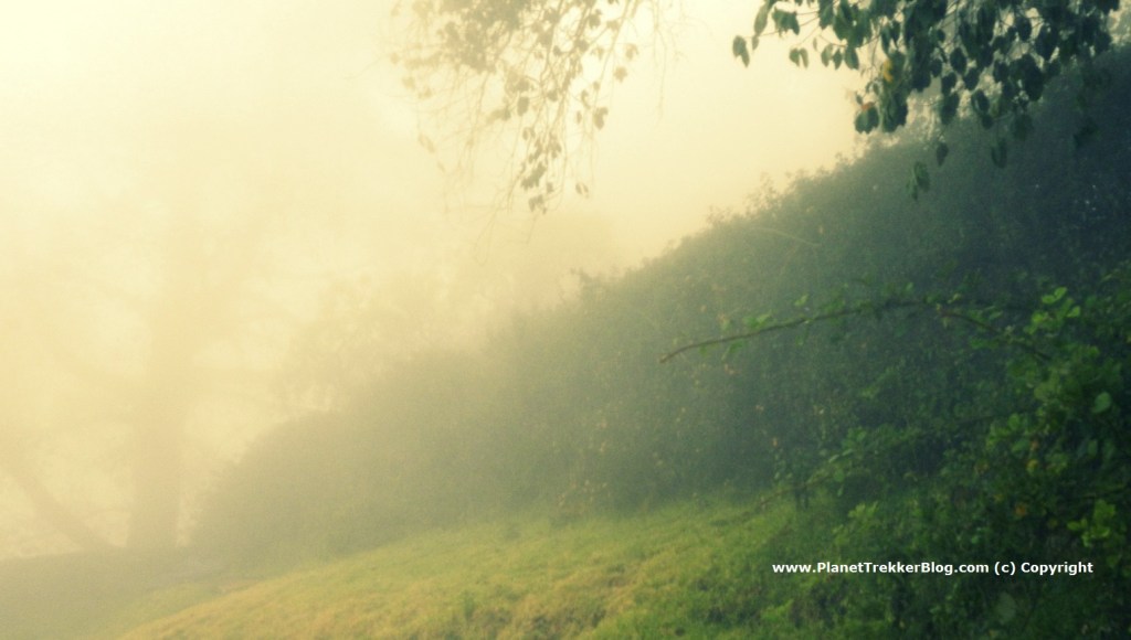 Places to visit in Kodaikanal – Coaker’s Walk – Planet-Trekker-Blog