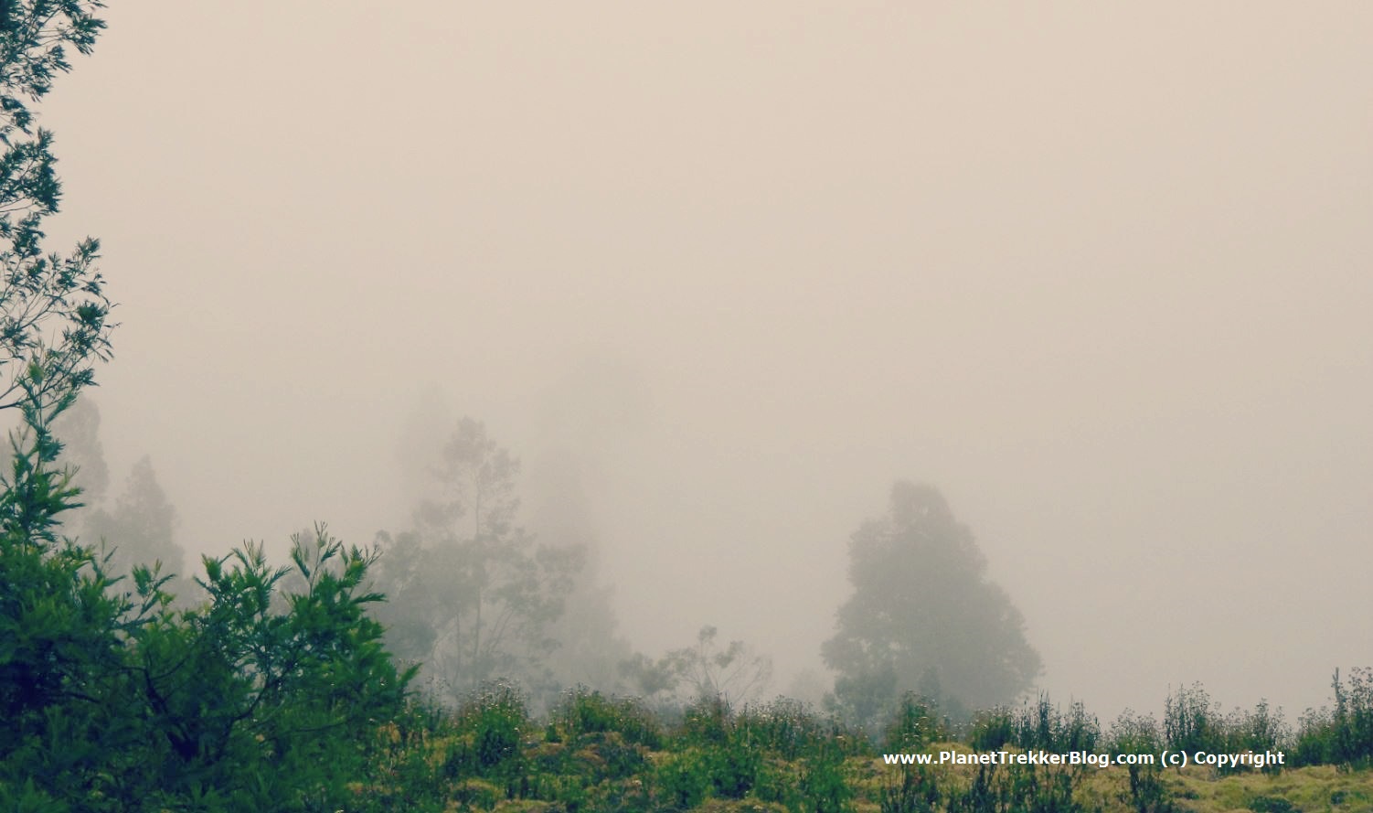 Places to Visit in Kodaikanal- Mannavanur – Planet-Trekker-Blog