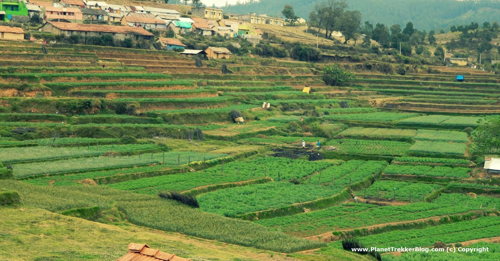 Places to Visit in Kodaikanal- Mannavanur – Planet-Trekker-Blog