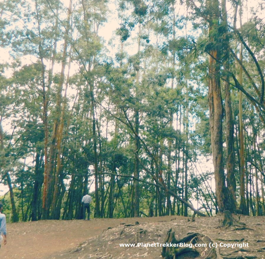 Places to Visit in Kodaikanal – Devil’s Kitchen (Guna Caves) – Planet ...