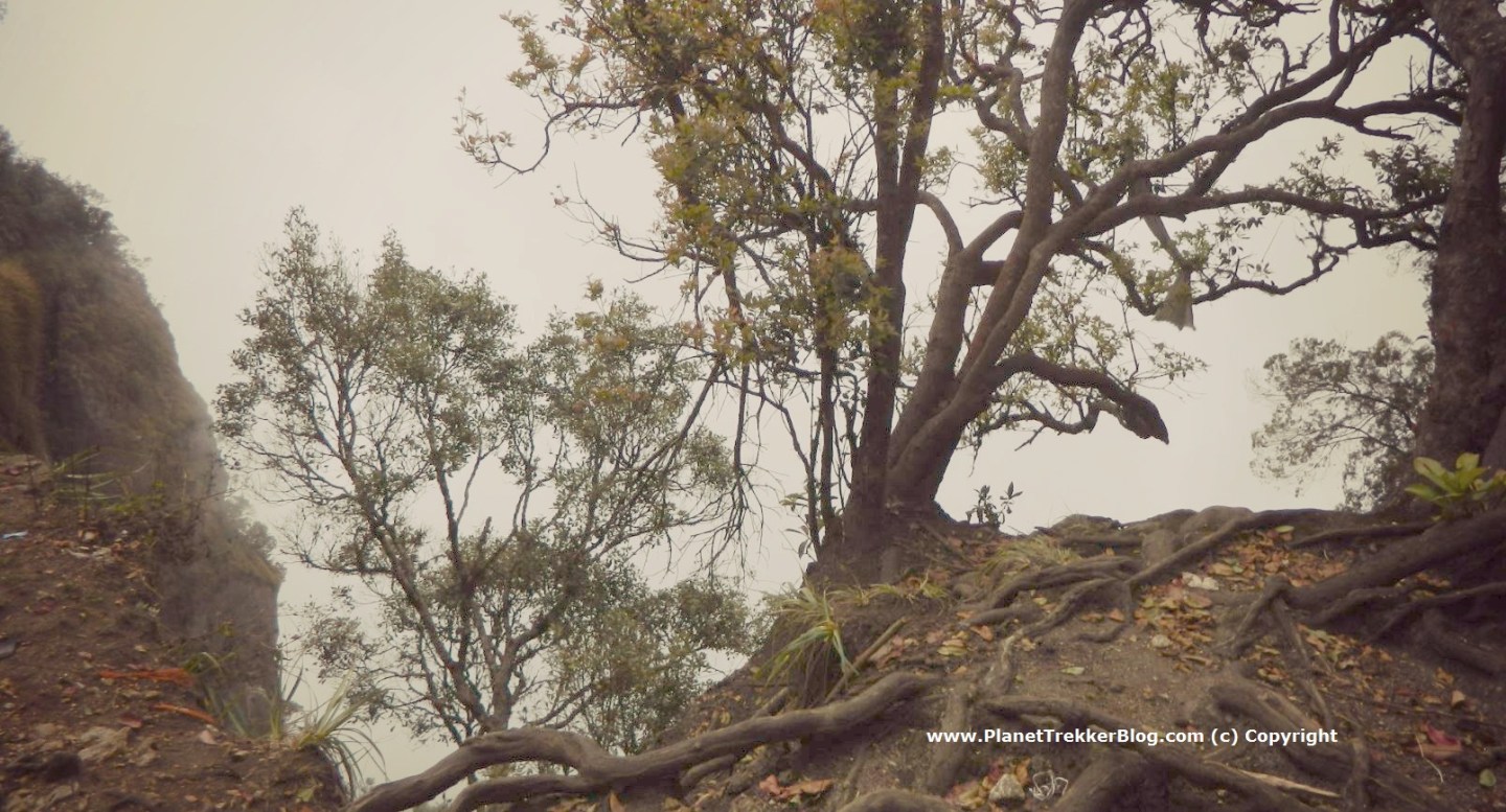 Places to Visit in Kodaikanal – Devil’s Kitchen (Guna Caves) – Planet ...