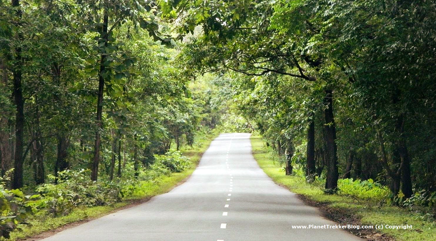 How to plan your road trip in less than 30 minutes – Planet-Trekker-Blog