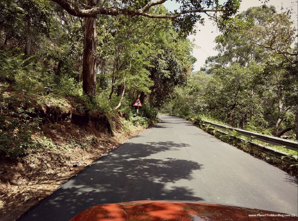 Things to do at Yercaud – Coffee Plantation walk – Planet-Trekker-Blog