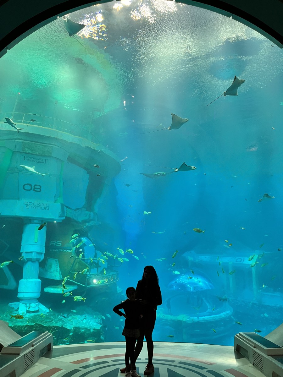 A Day Trip from Dubai to Yas Island: Warner Bros. and SeaWorld ...