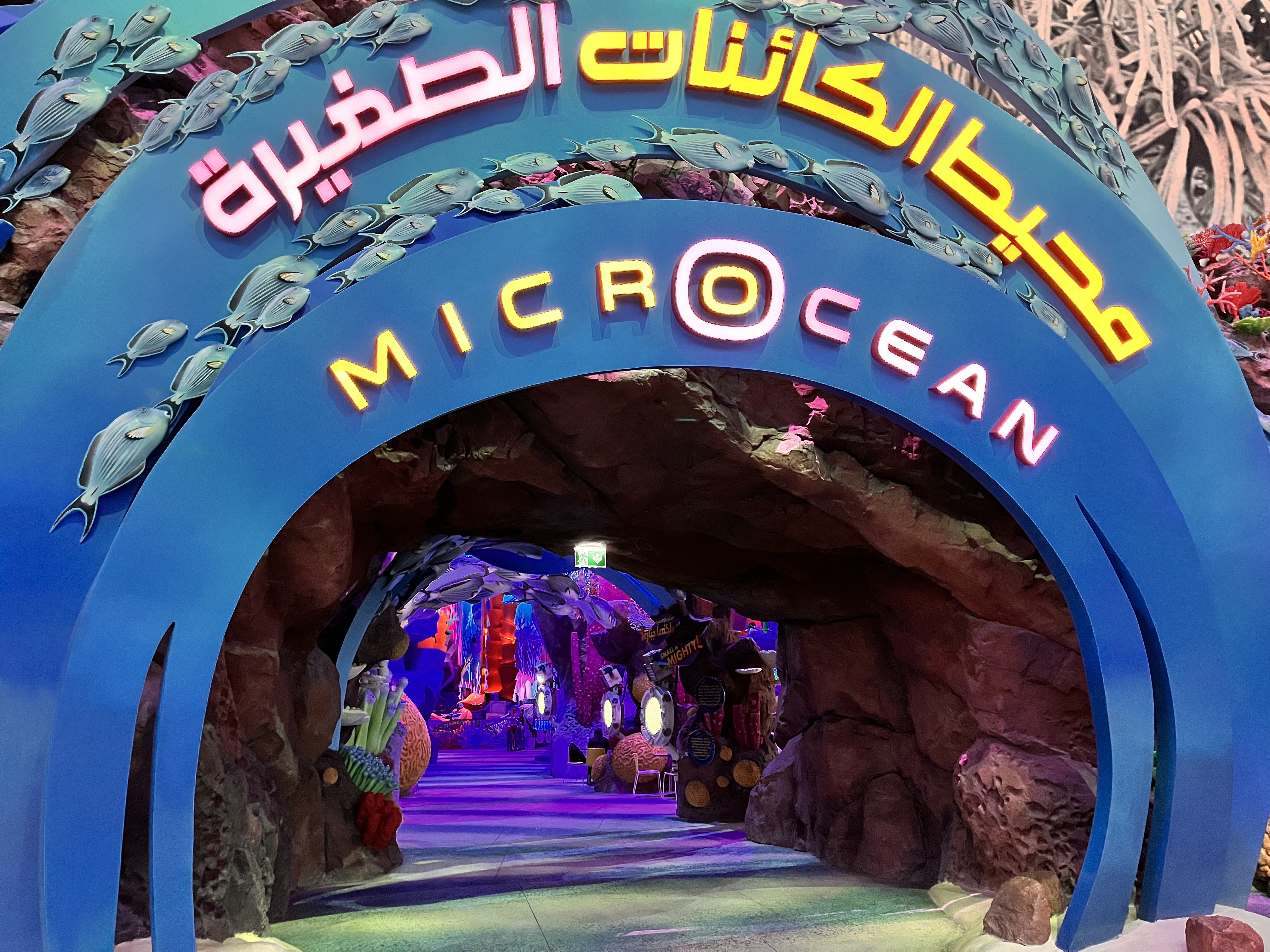 A Day Trip from Dubai to Yas Island: Warner Bros. and SeaWorld ...